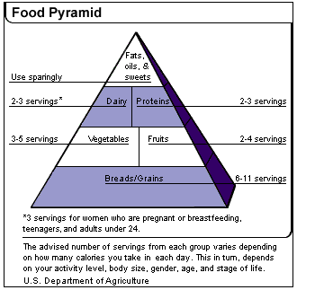 Food Guide Pyramid
