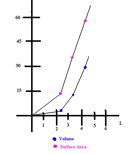 Learning about Length